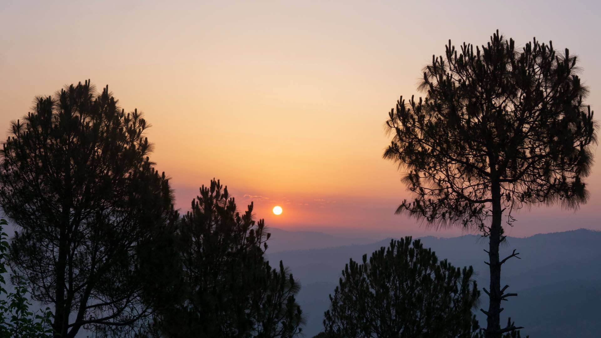 Ranikhet Hill Station – Top Tourist Places to Visit in Ranikhet